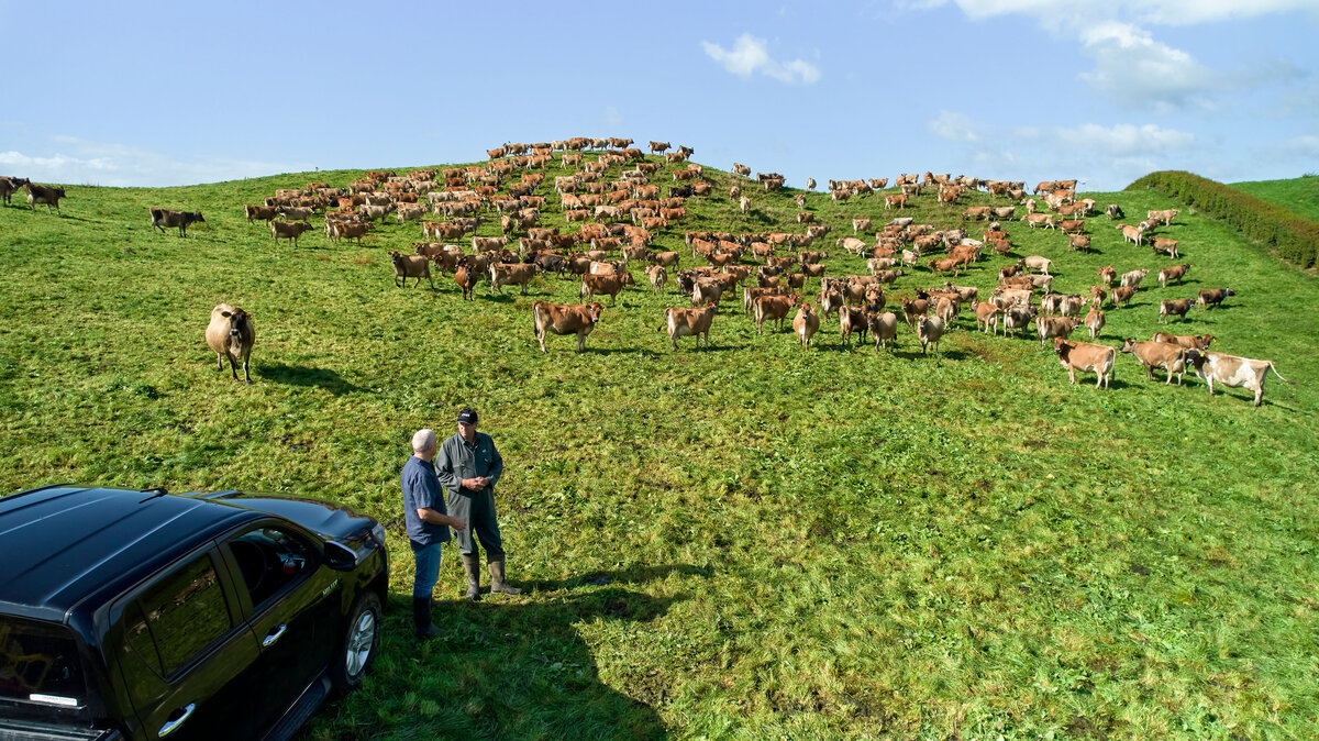 Home | Intelact Limited