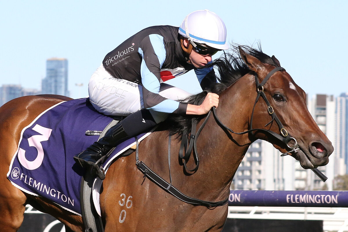 Wentwood Grange Stud Farm | Sargent unleashes likely Oaks type