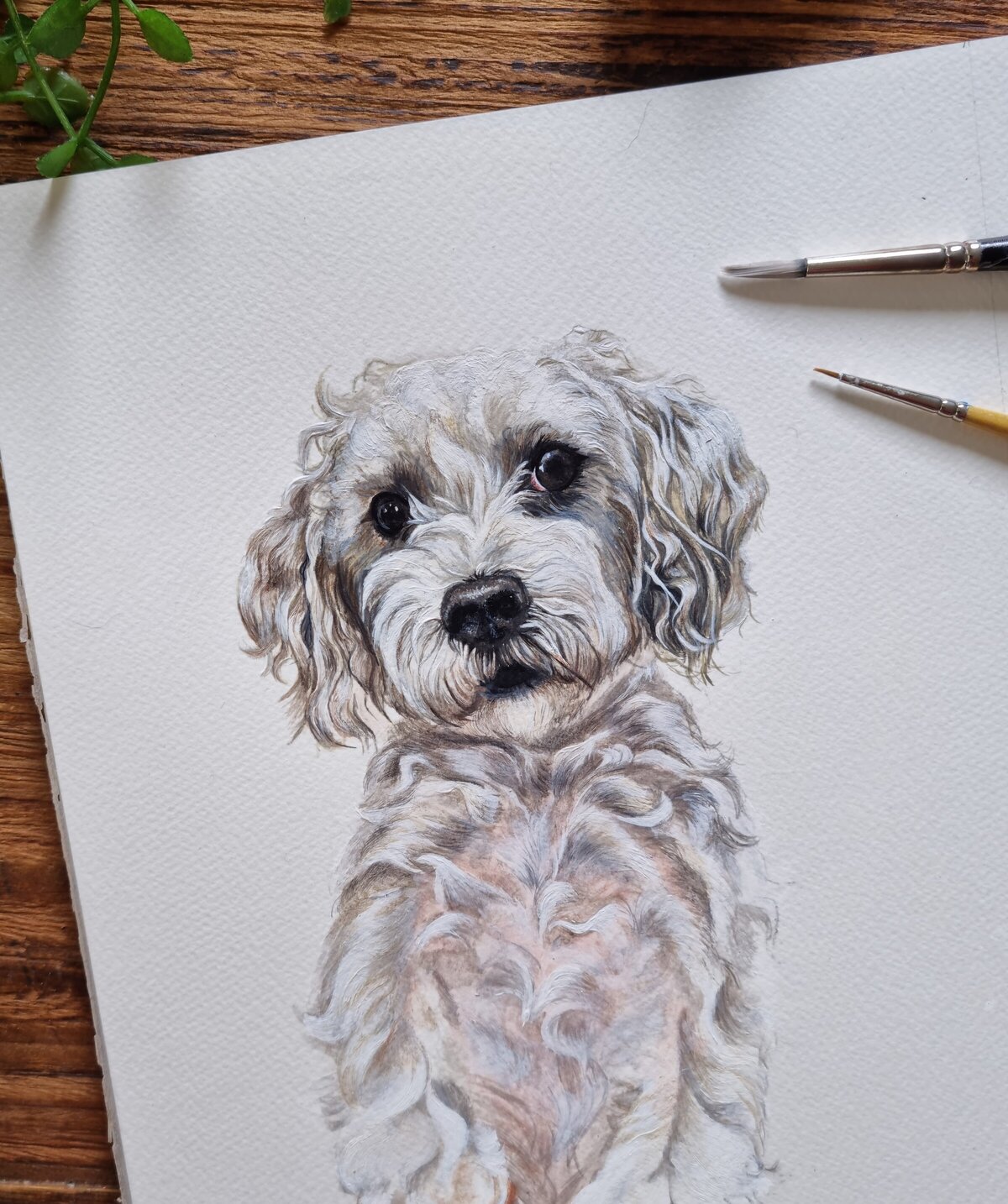 Pet Commission Art NZ | Painted Pets NZ