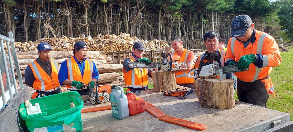 Stihl Chainsaw Course | Rural Training Solutions New Zealand