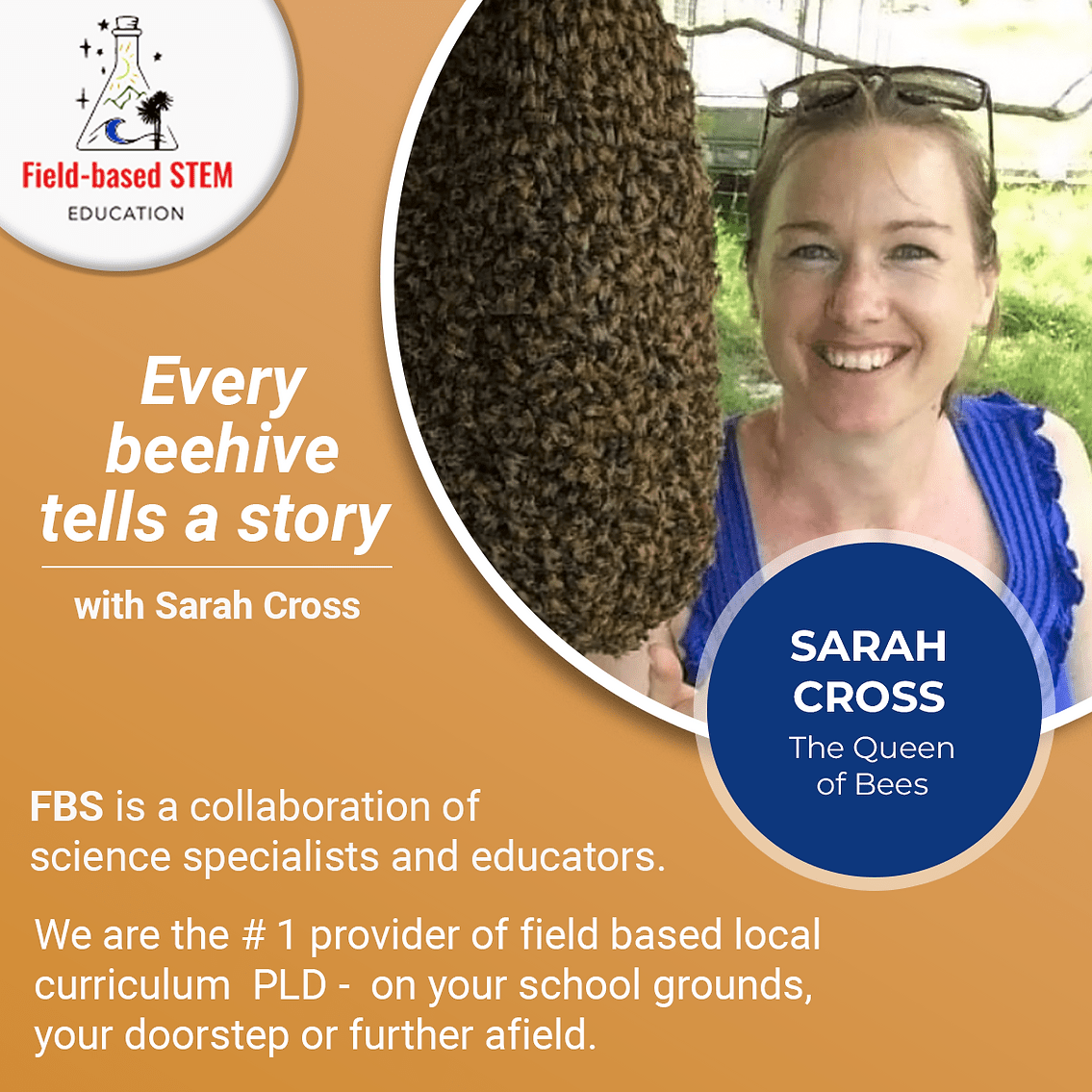 Interactive Bee Education Sessions in Waikato | Sarah C's Bees