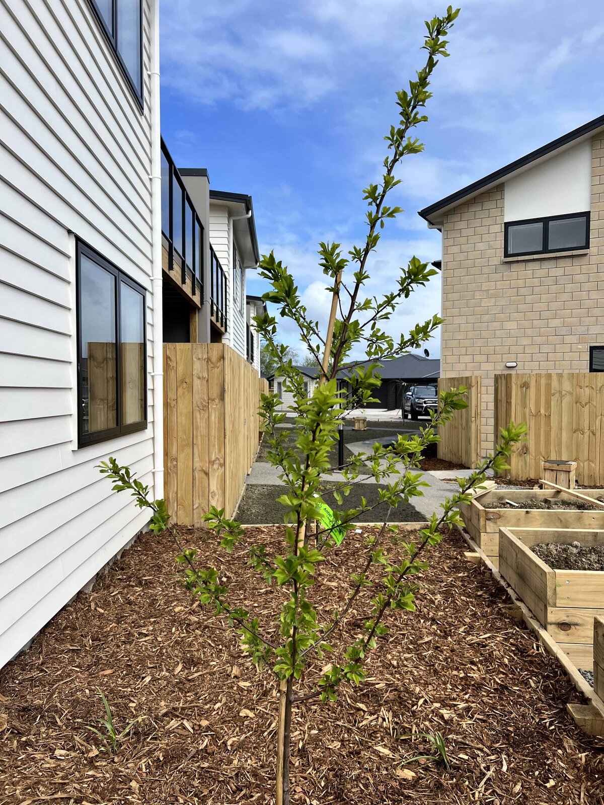 Apartments, Units & Property For Sale | Cornerstone Developments