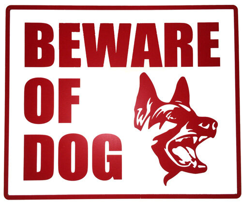 Menacing dogs - on the attack | Nose to Tail Dog Wash