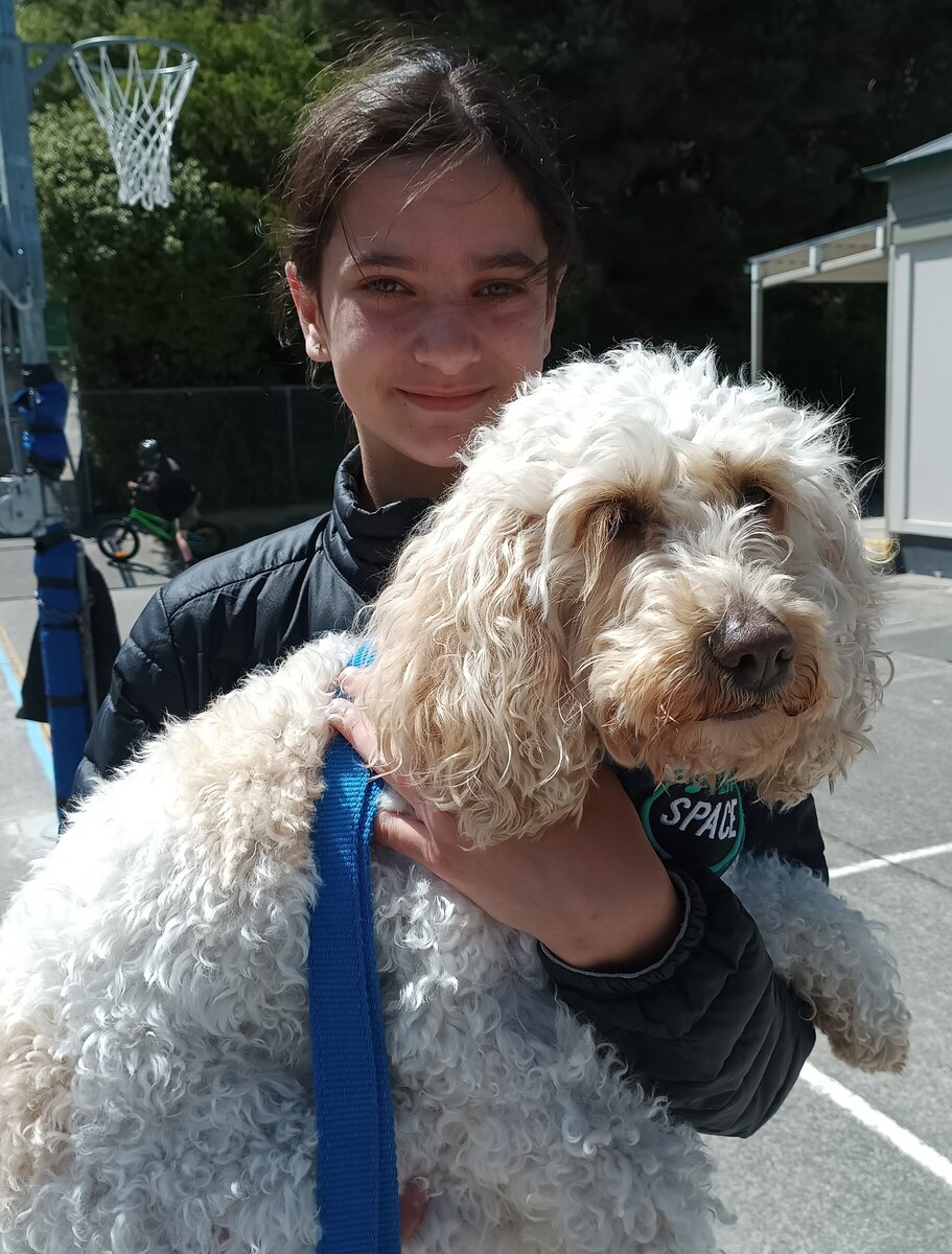 Paws, Progress, and Promise: Celebrating 2024 and Looking Ahead to 2025 | Ted's Space