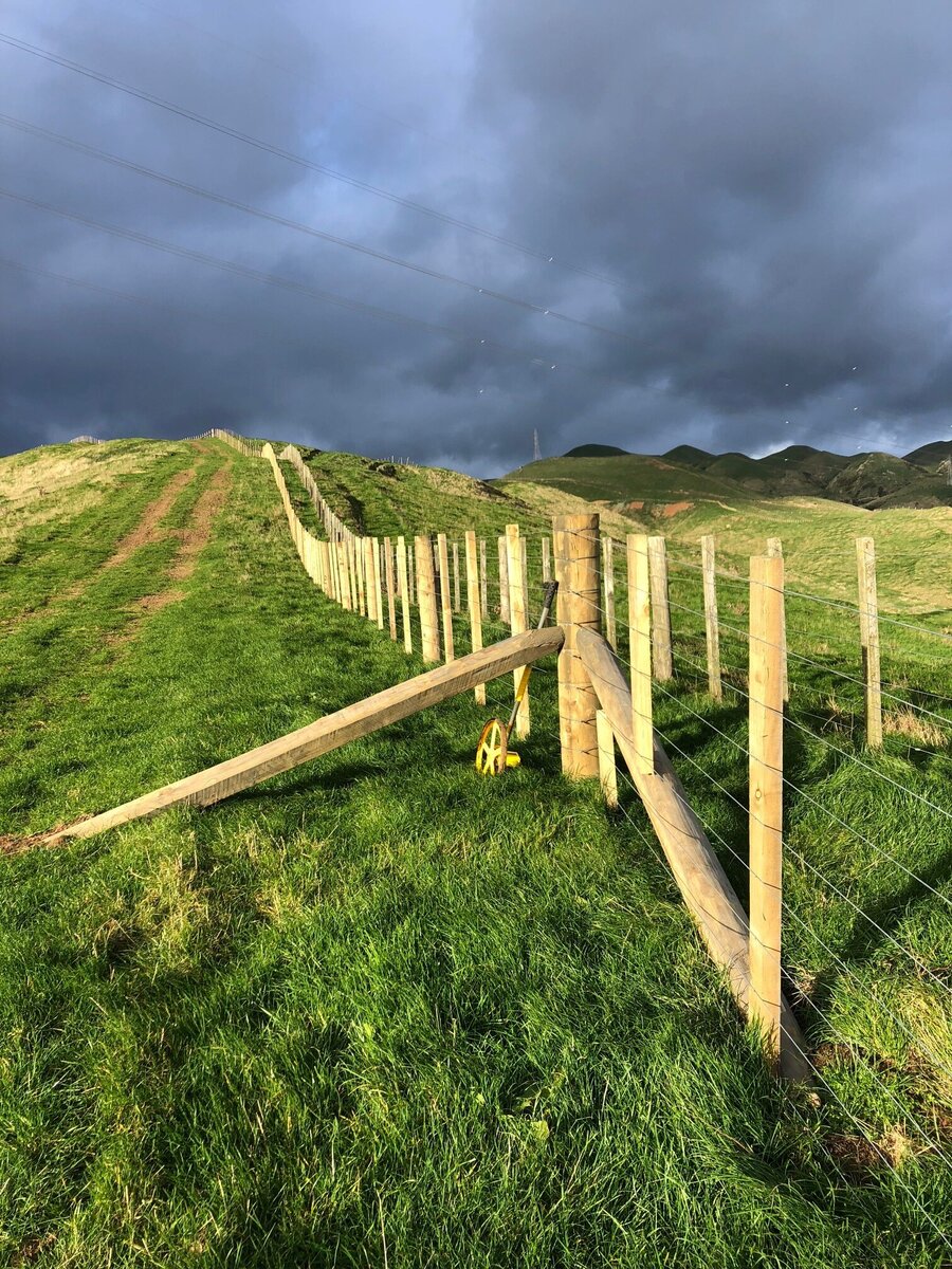 Property Boundary Fencing | PPS Fencing Limited