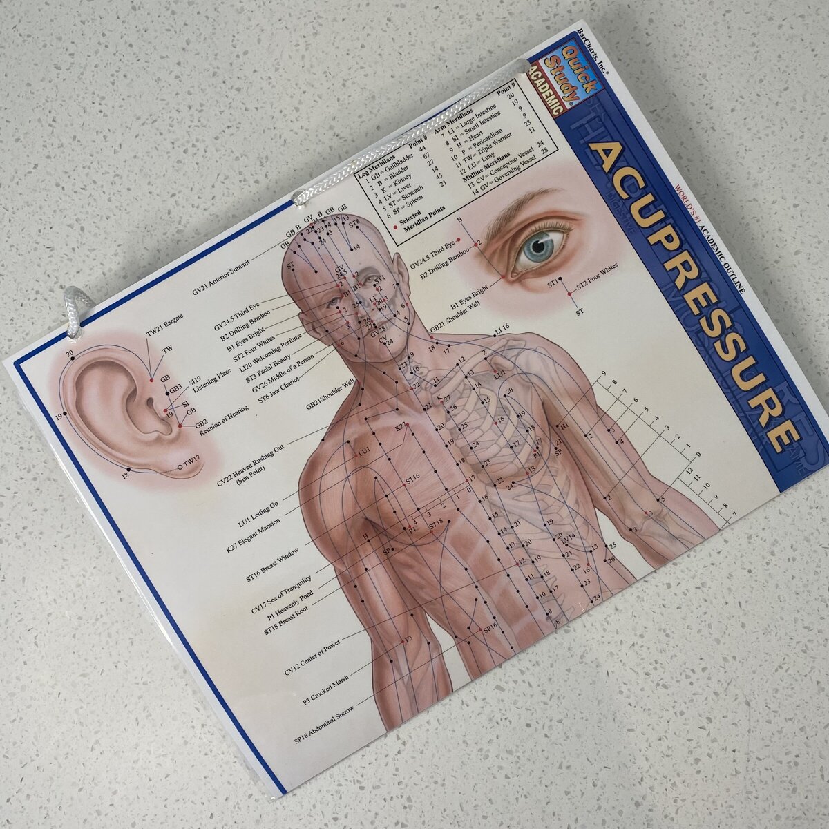 Element Acupressure Points Course | Learn Kinesiology