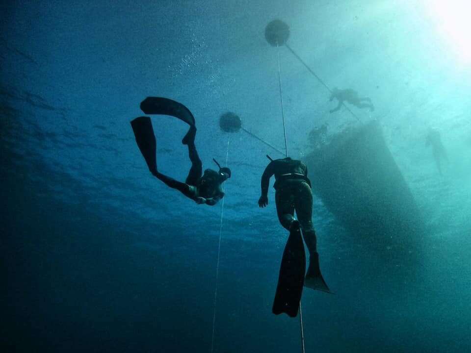 3 Key Benefits of becoming a qualified PADI Freediver! | Dive Zone ...