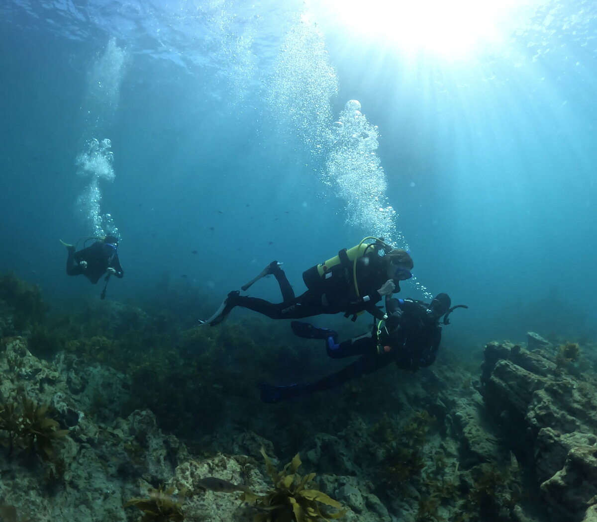 3 Reasons why you should become a PADI Qualified Scuba Diver... | Dive ...
