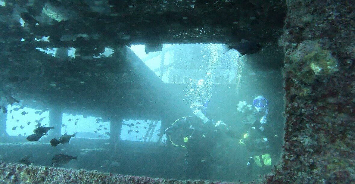 Too cool for school? Marine Academy 2025 | Dive Zone Whitianga