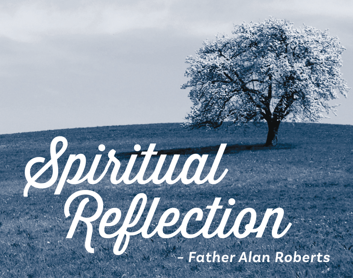 Spiritual Reflection - September 2022 | Society of St Vincent de Paul