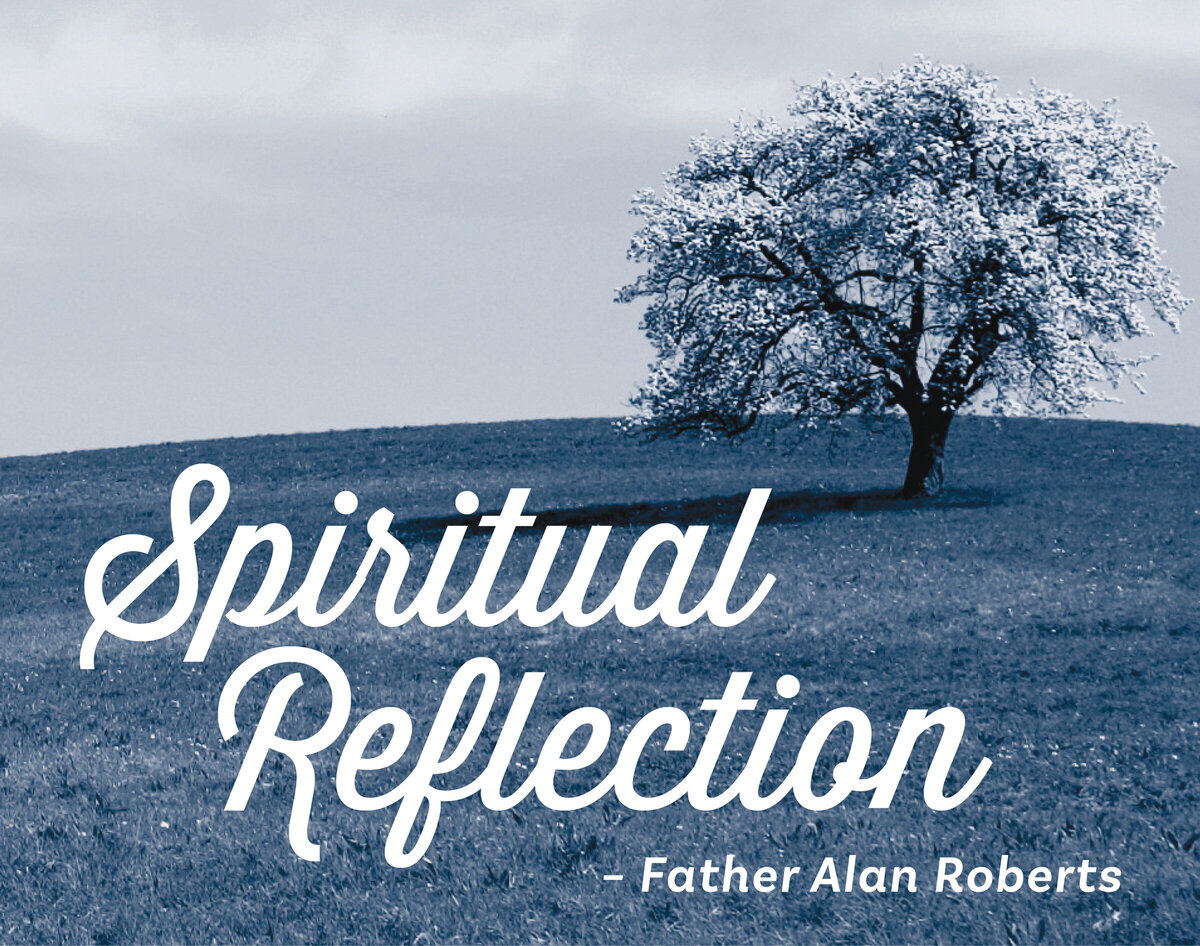 Spiritual Reflection - June 2024 | Society of St Vincent de Paul