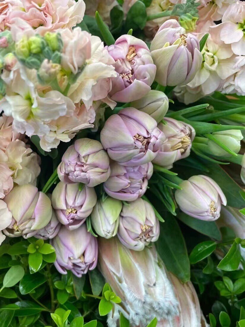 Orewa Flower Delivery | Flowers by Joanne Local Florists