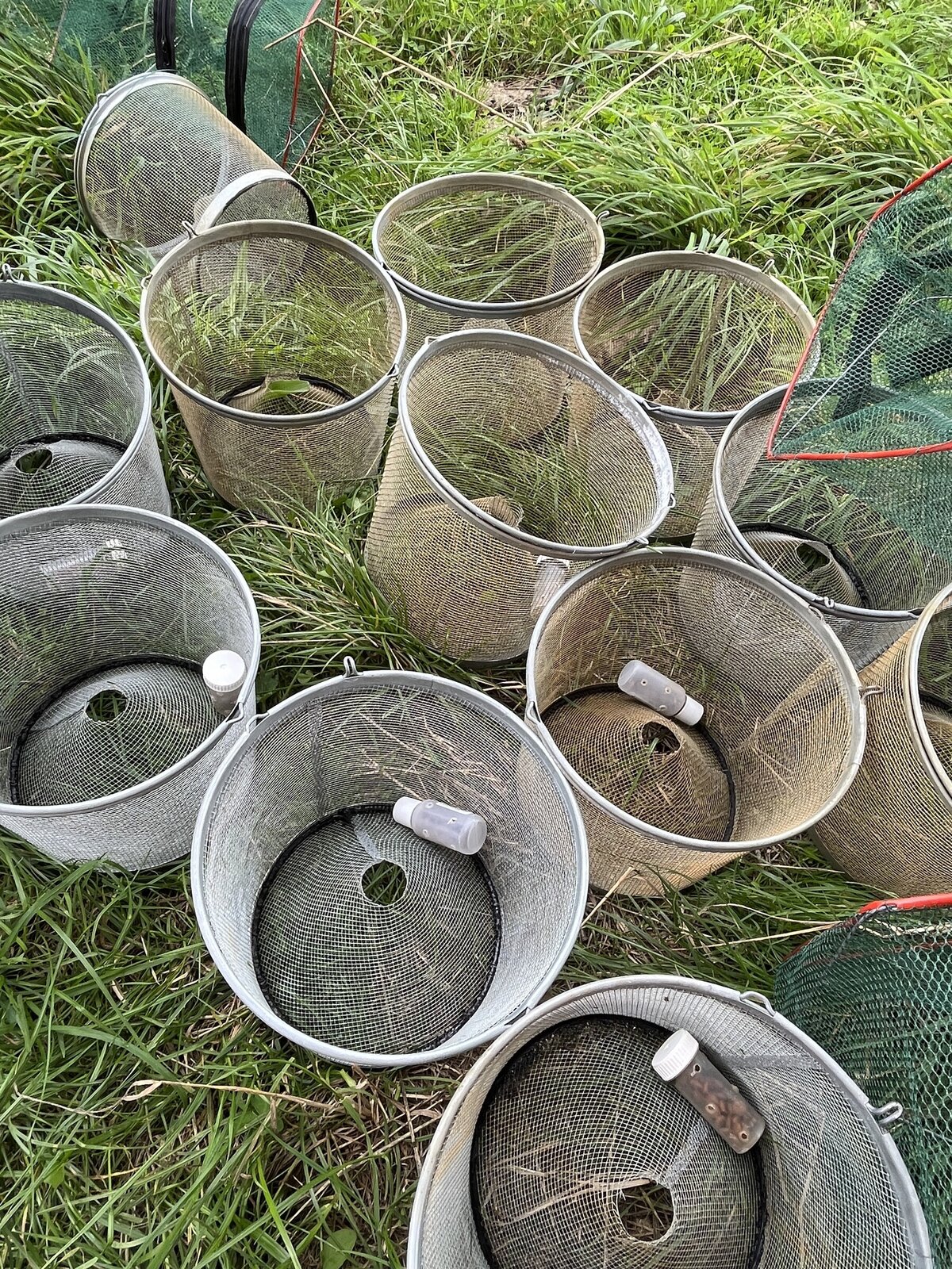 Pokaiwhenua Stream | Pokaiwhenua Catchment Group