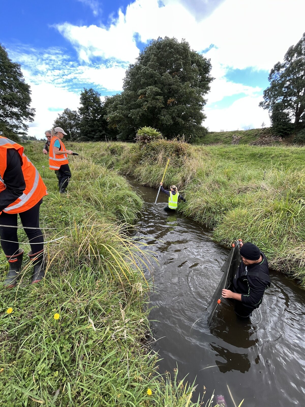 Pokaiwhenua Stream | Pokaiwhenua Catchment Group