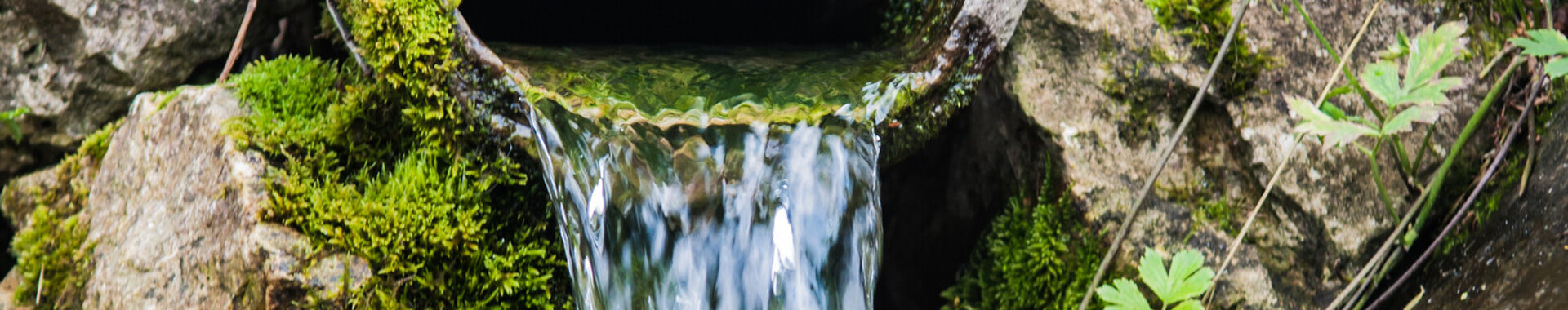 Wastewater | Septi-Cure | Dairy-Kleen | Ecoworld NZ 2018 Ltd