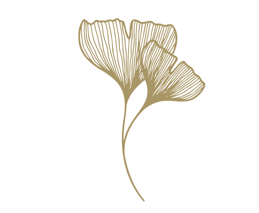 Deciduus Gallery Tirau | Art & Framing | Indoor Plants