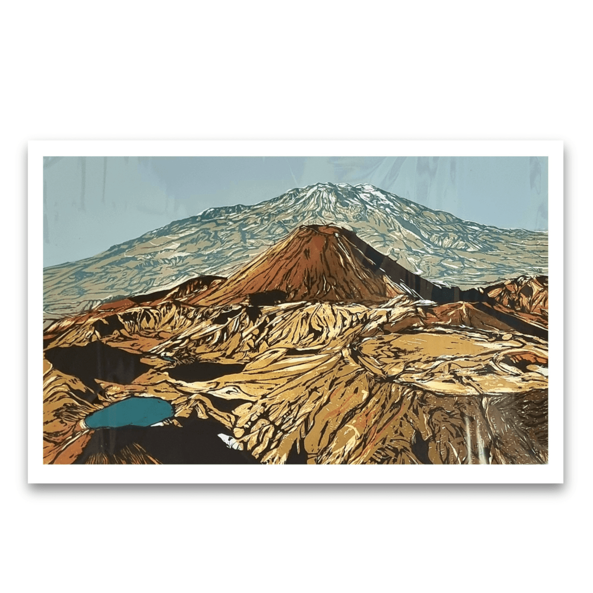 Deciduus Gallery Taupo | Art & Indoor Plants