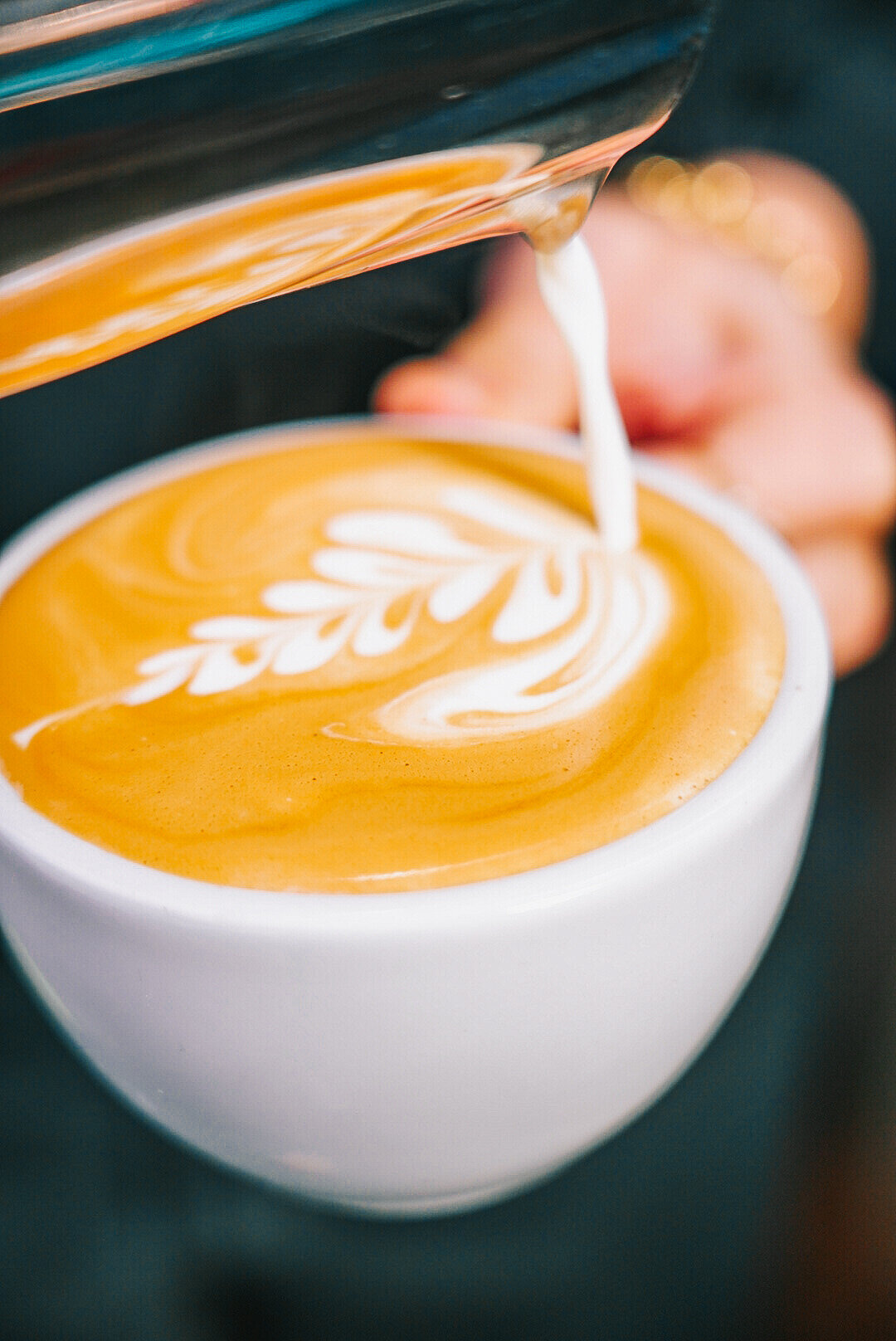 Menu South Auckland | The Alexander Cafe