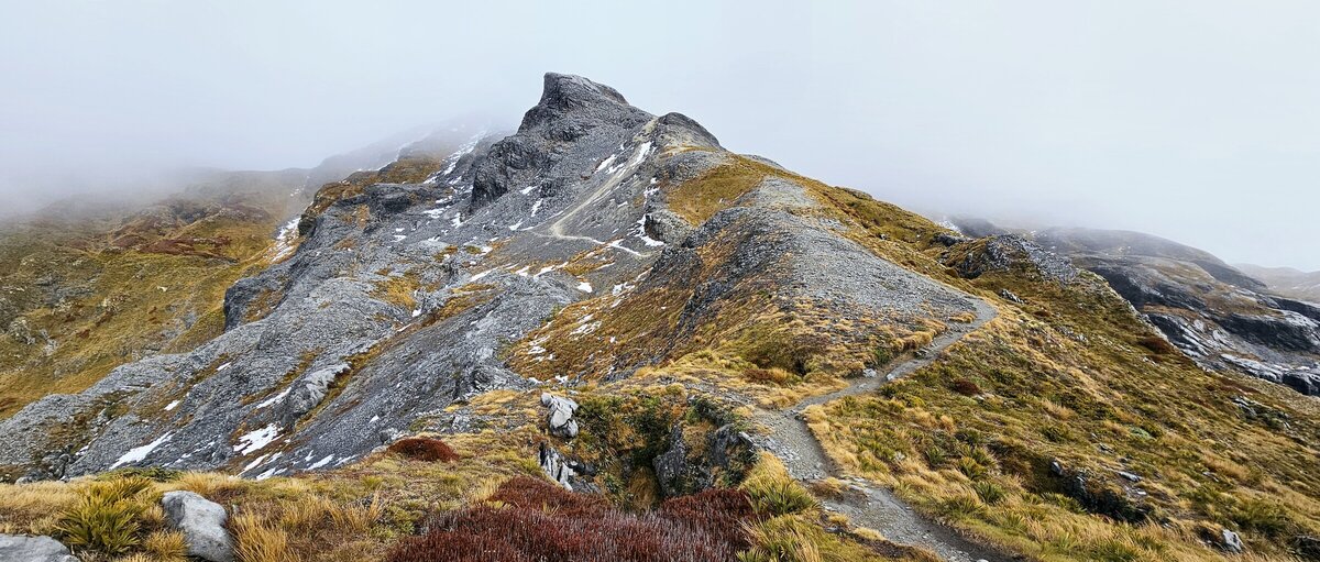 Mount Arthur Summit Track | iNZider Trails