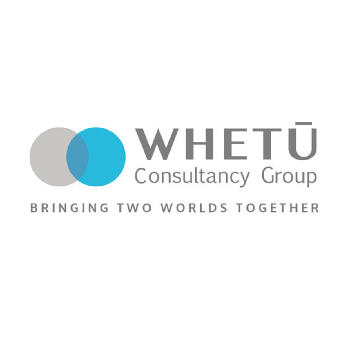Whetu Group | Bringing Two Worlds Together