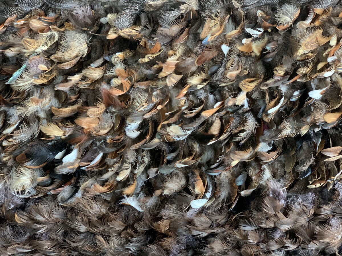 Whetu Group | Bringing Two Worlds Together