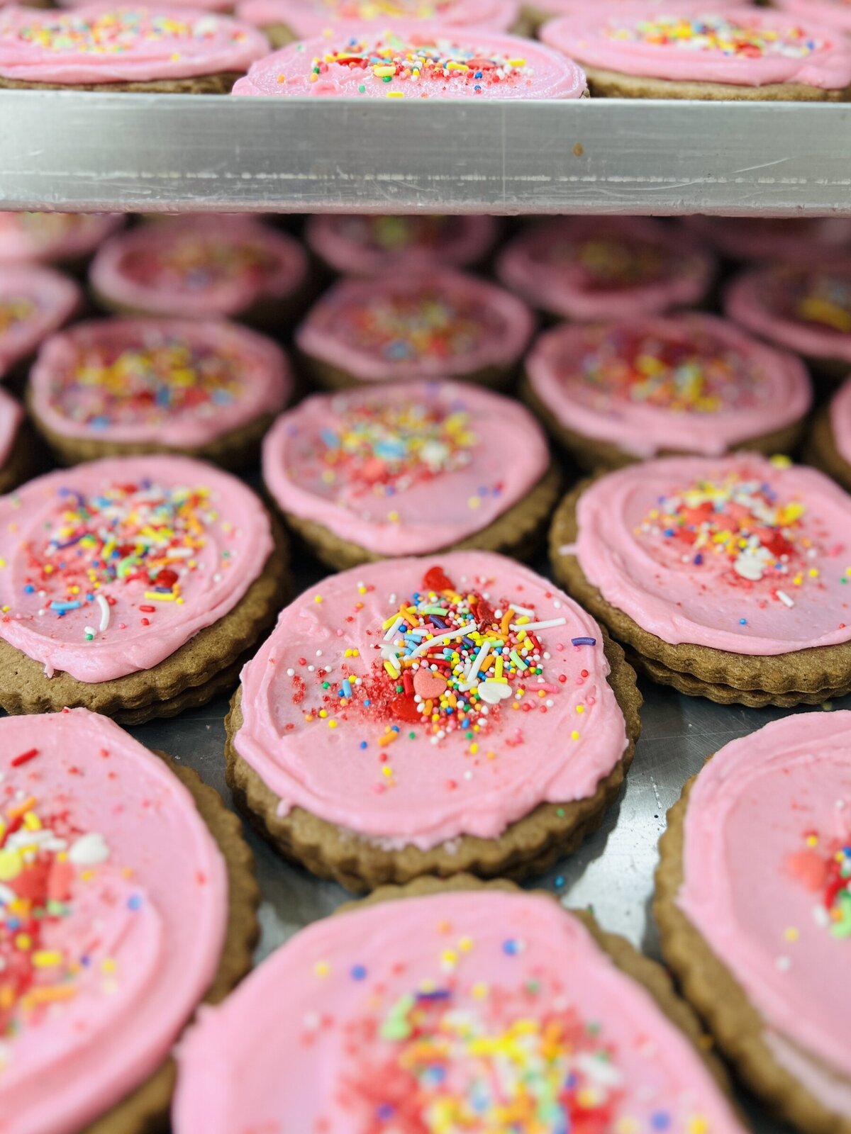 Bakery and Cafe Lower Hutt | Janus Bakkerij