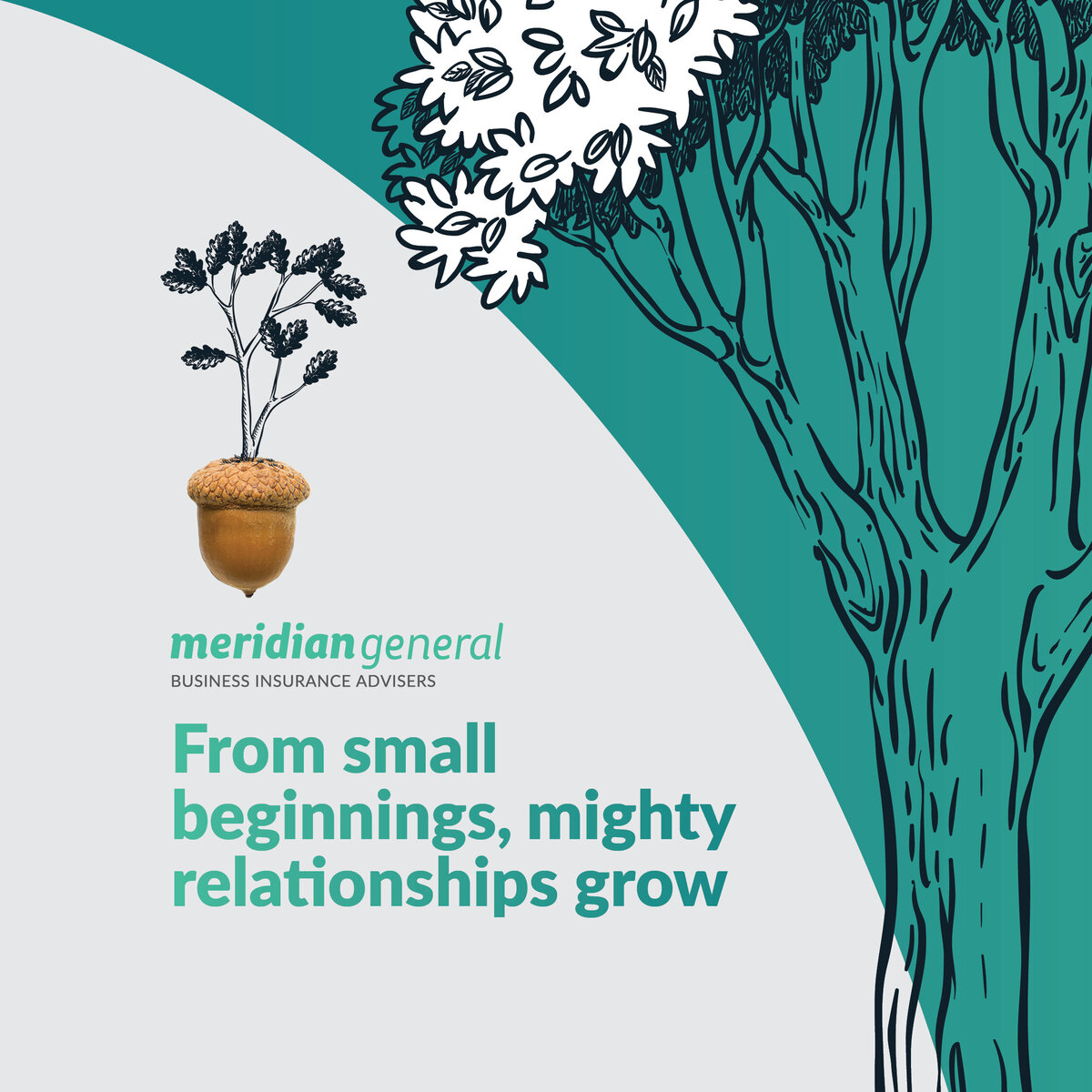 Meridian General | Lemonface Creative | Creative Direction