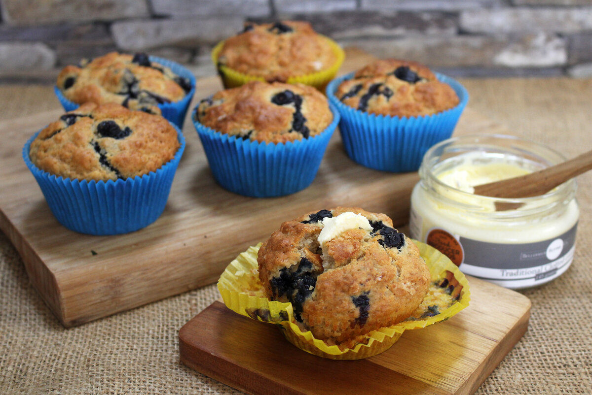 CELEBRATING KIWI KAI | Irvine Holt