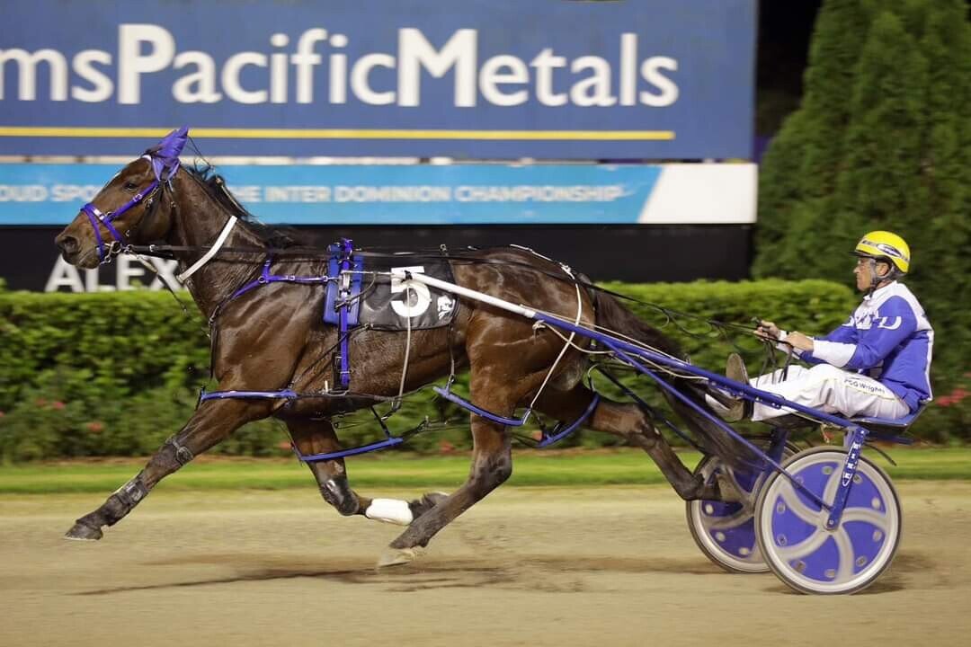 A super couple of nights for the team | Picket Fence