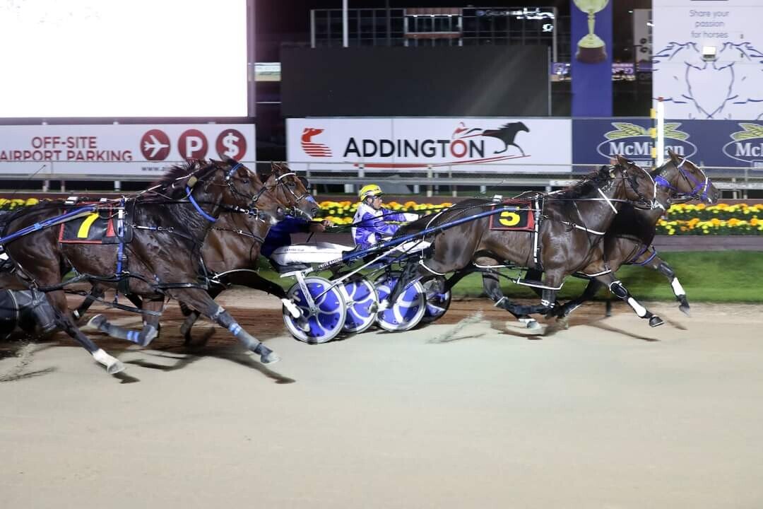 Kango the King! | Picket Fence