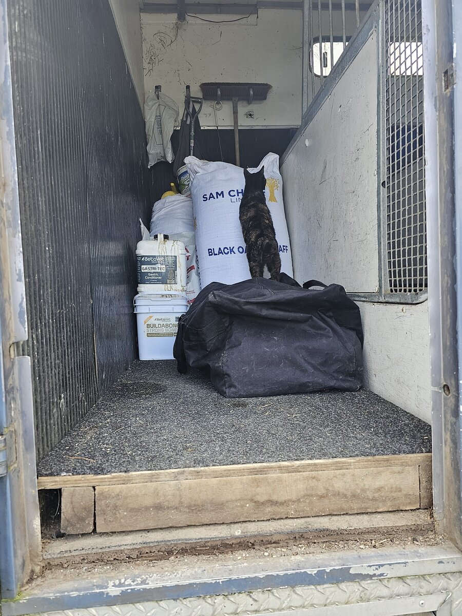 Race previews | Picket Fence