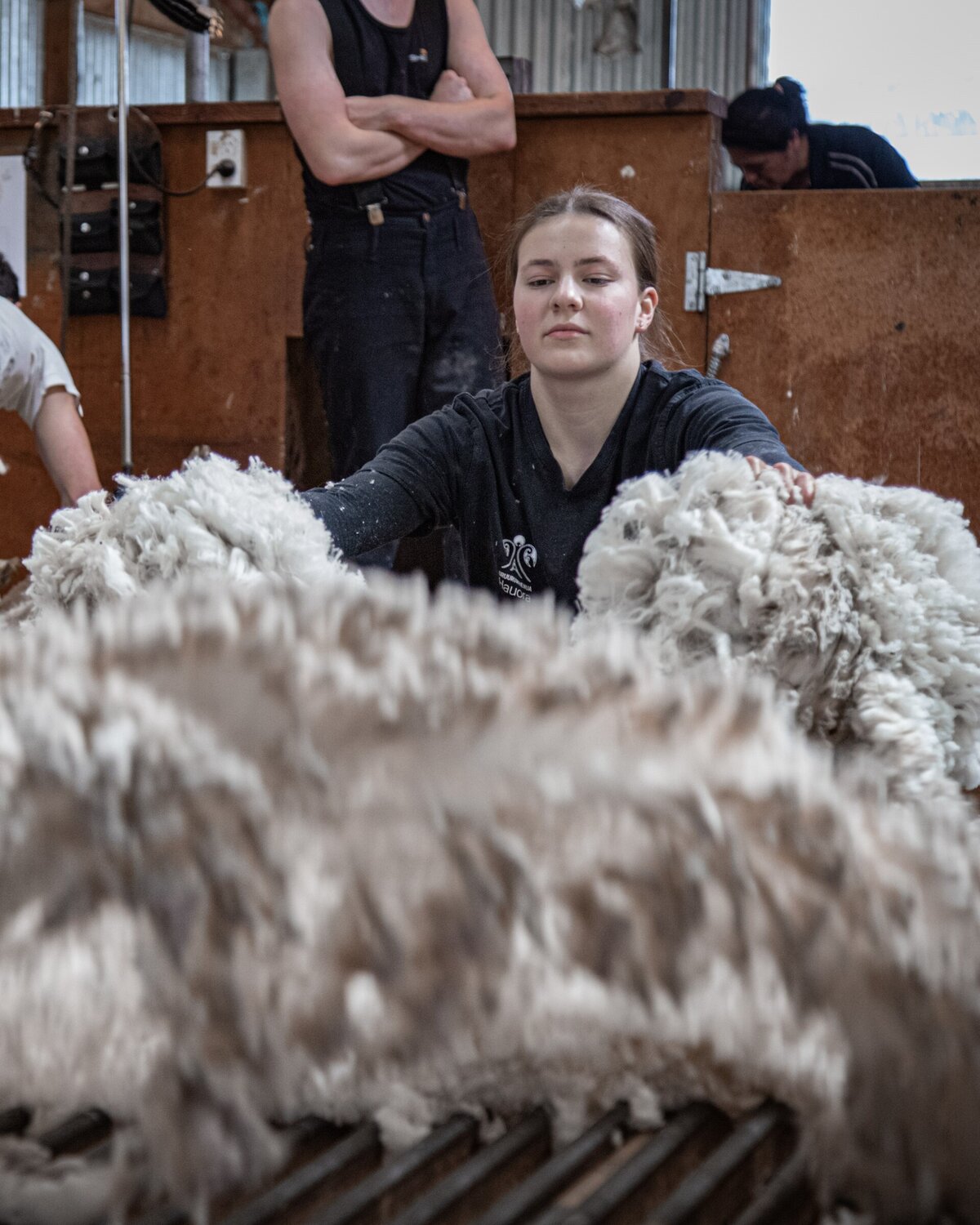 Shearing and Woolhandling Training | Elite Wool Industry Training Ltd