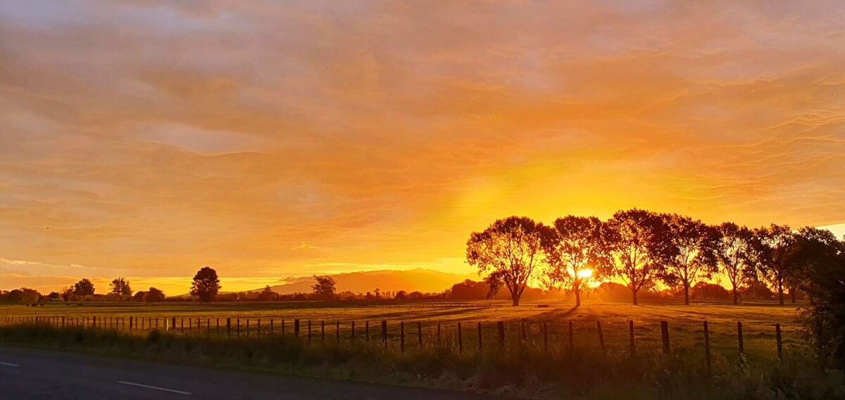 Where Is Tamahere's Soul? - The Question Is Being Asked! | Tamahere ...