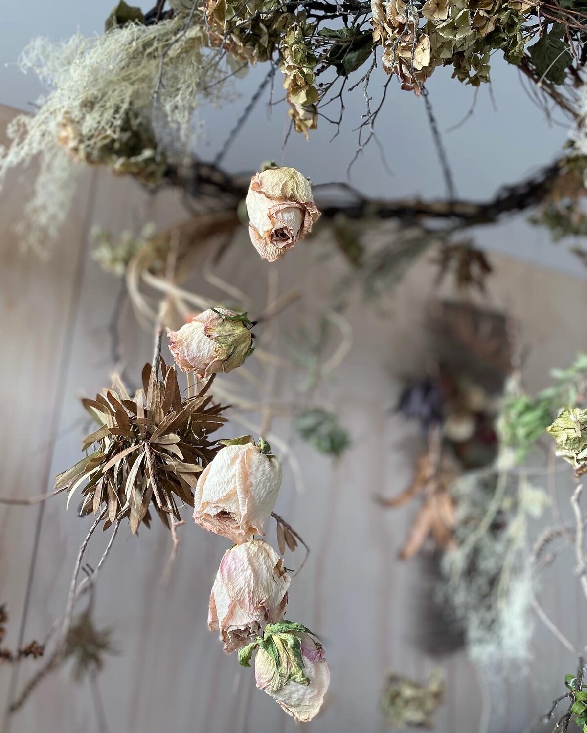 Unique dried flowers | Wild About Eve - florist, Raglan