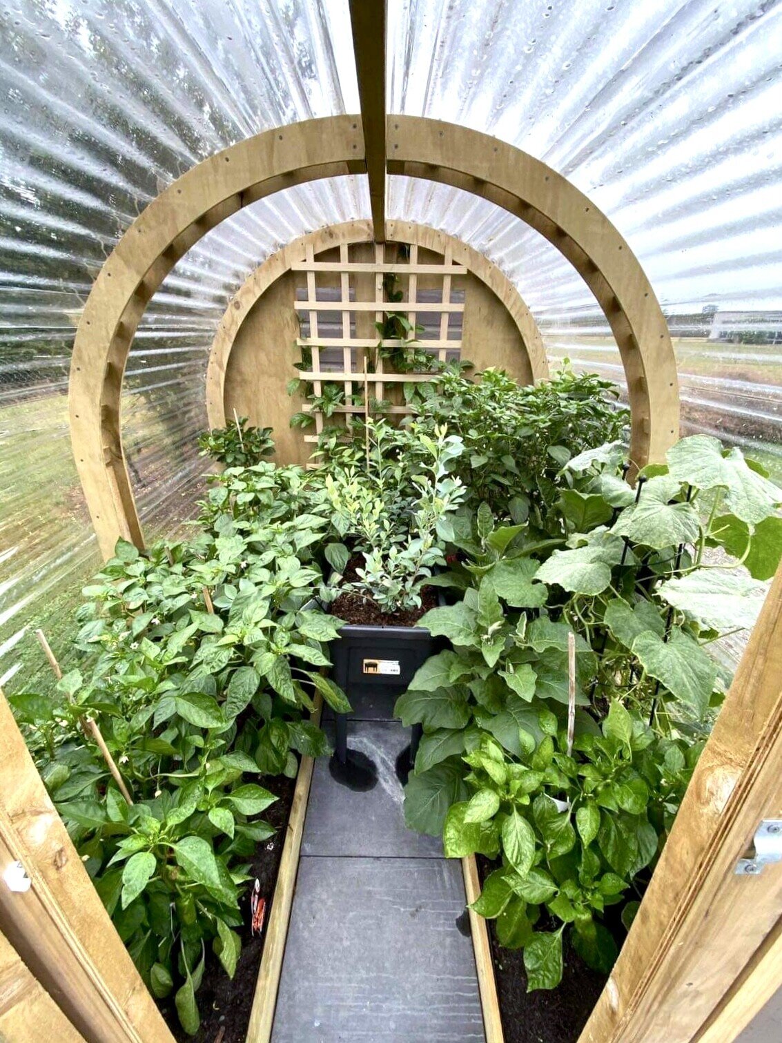 Perfect size tunnel houses for the backyard! | Southern Buildworks