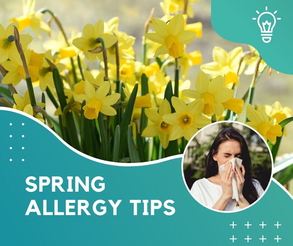 Spring Allergies Got You Down? Here's Your Survival Guide! | Vogeltown ...