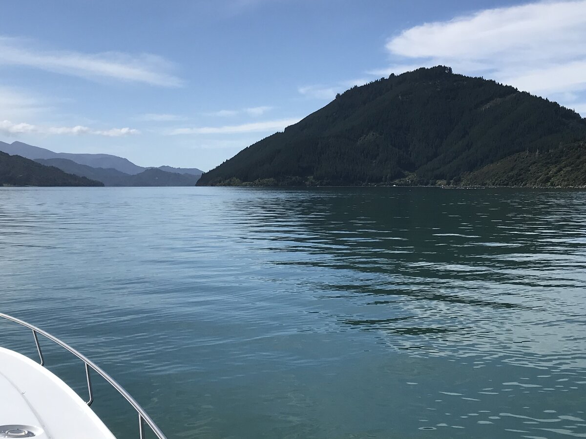 Departing Havelock - Day 8 (18th March) | Retired Director