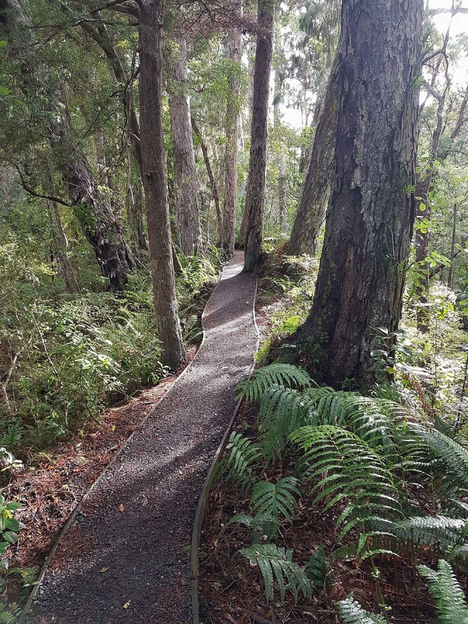 Stewart Island - day four | Retired Director
