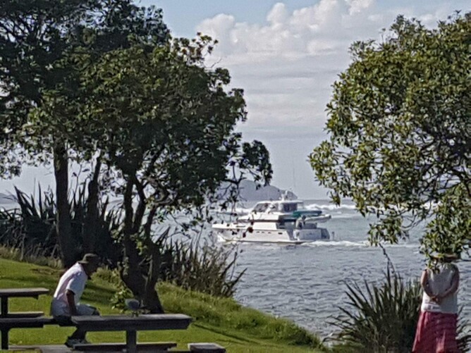 Voyage Ends in Tairua | Retired Director