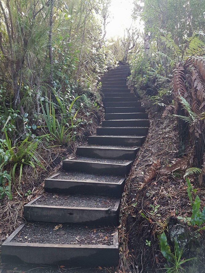 Stewart Island - day four | Retired Director