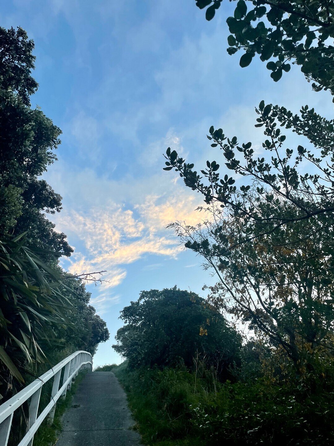 ADHD Coach & Mental Health Coach in Wellington | Jayne Fox