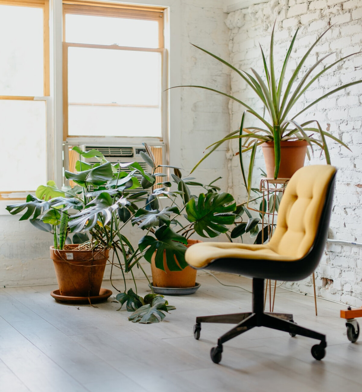 Tawera Tahuri | Toi Tahuri