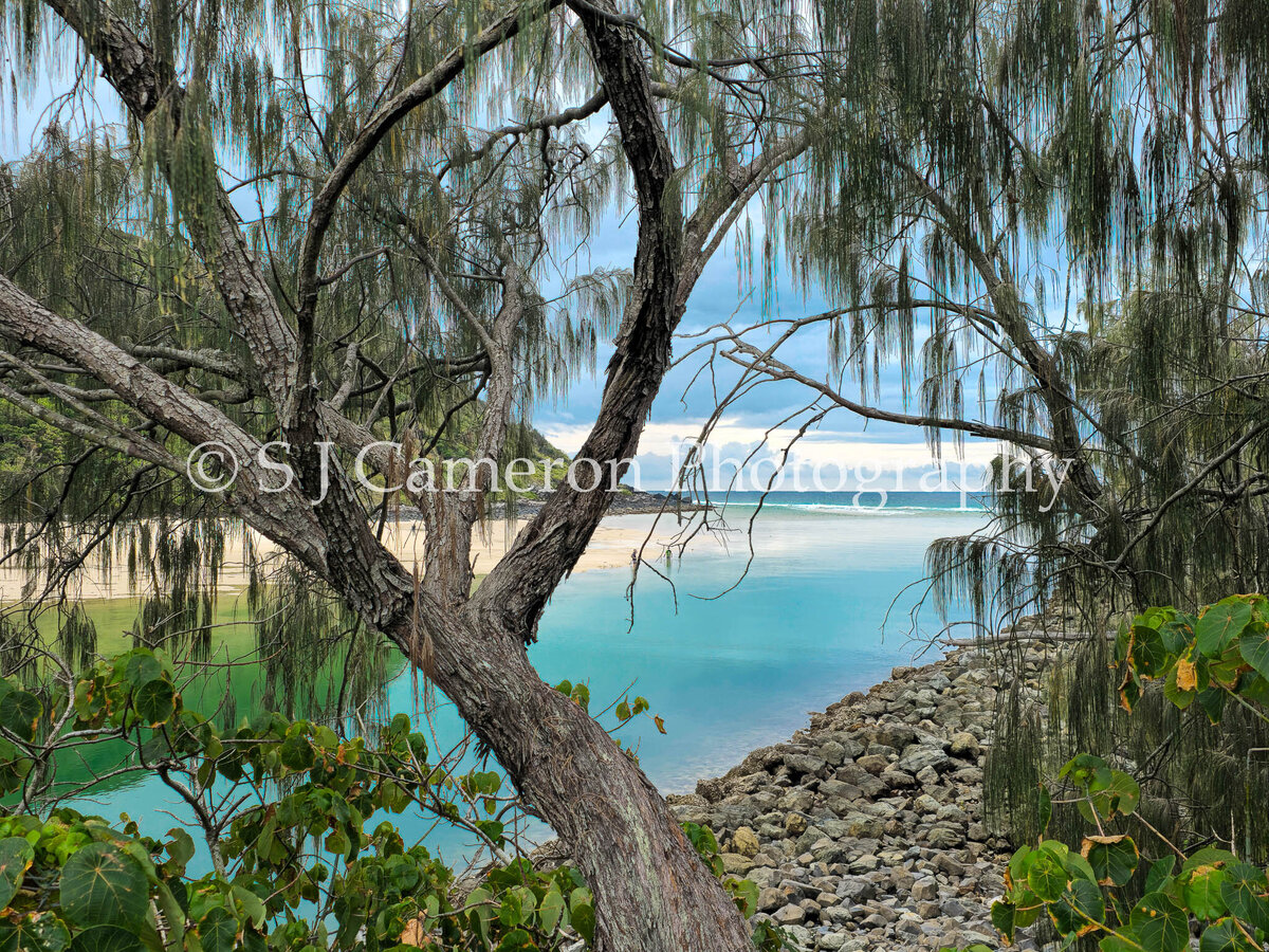 Photographic artist Cameron and co