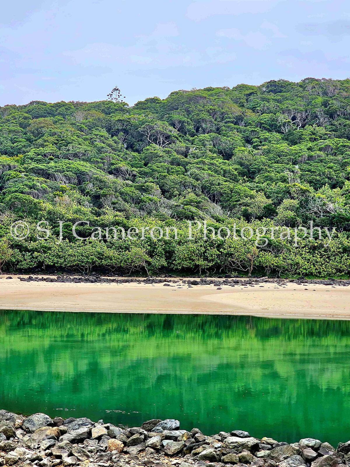 Photographic artist Cameron and co