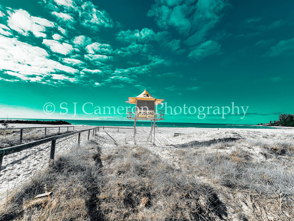 Photographic artist Cameron and co