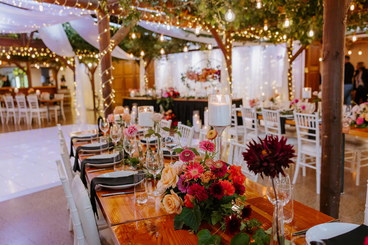 Venue Open Day Auckland | Markovina Vineyard Estate