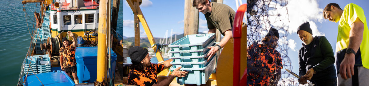 About Us | FirstMate NZ