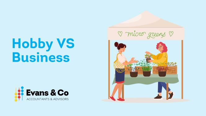 Hobby vs Business | Evans & Co Accountants & Advisors