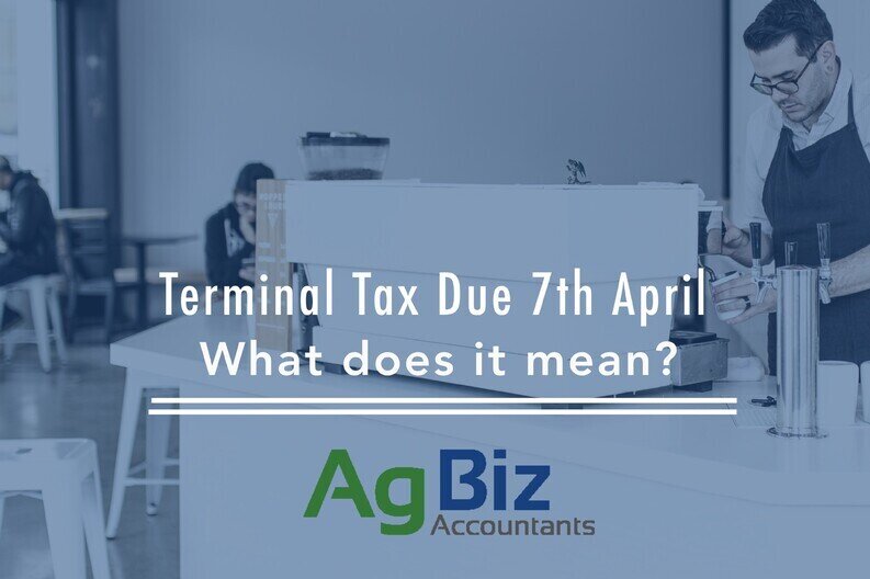 Terminal Tax Payment due on 7th April - what does it mean? | Evans & Co ...