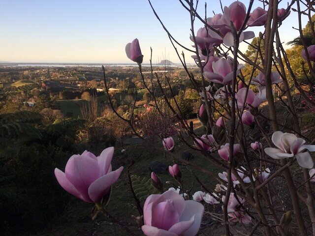 Gardens at the Park | Te Puna Quarry Park
